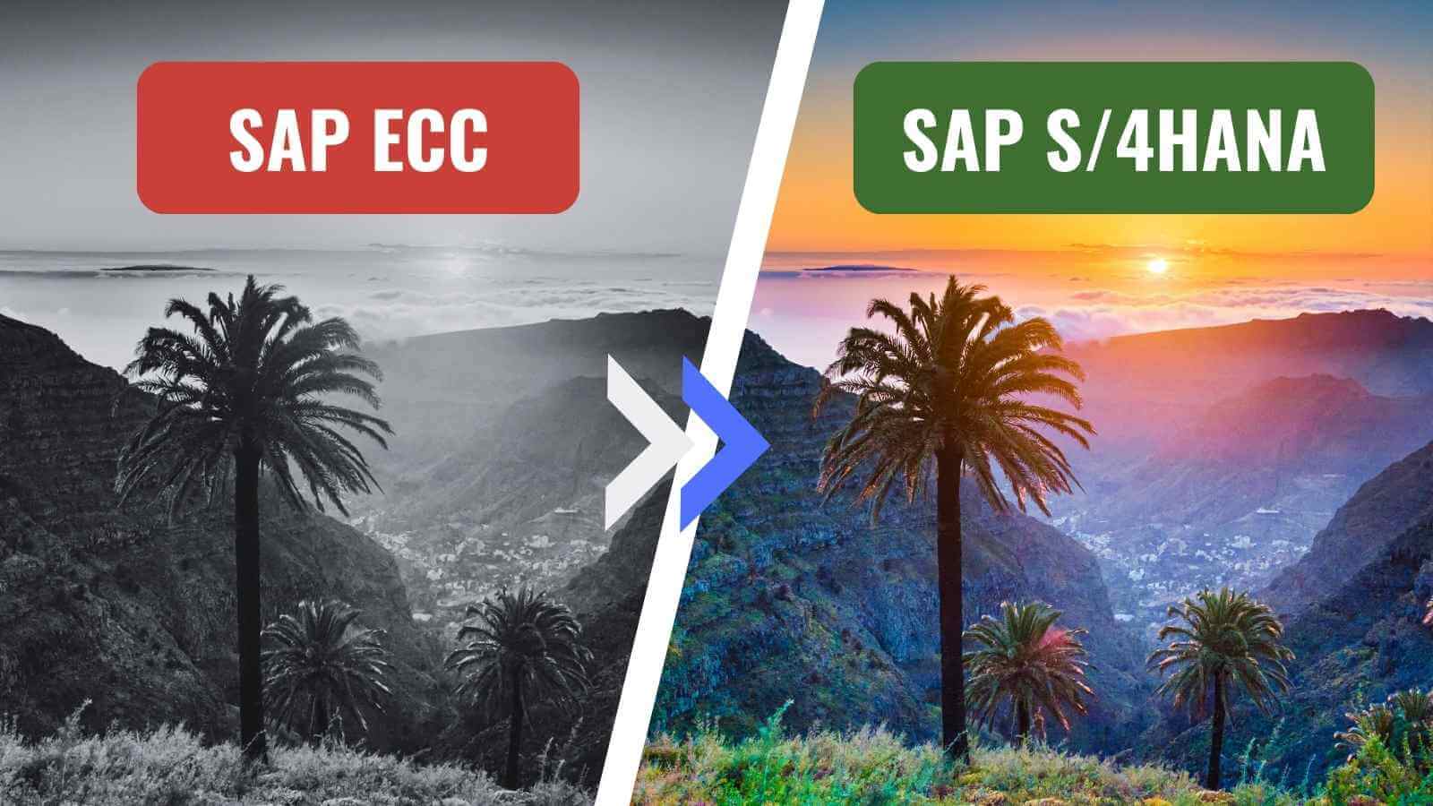 The Essential Guide to Migrating from SAP ECC to SAP S/4HANA in Saudi ...
